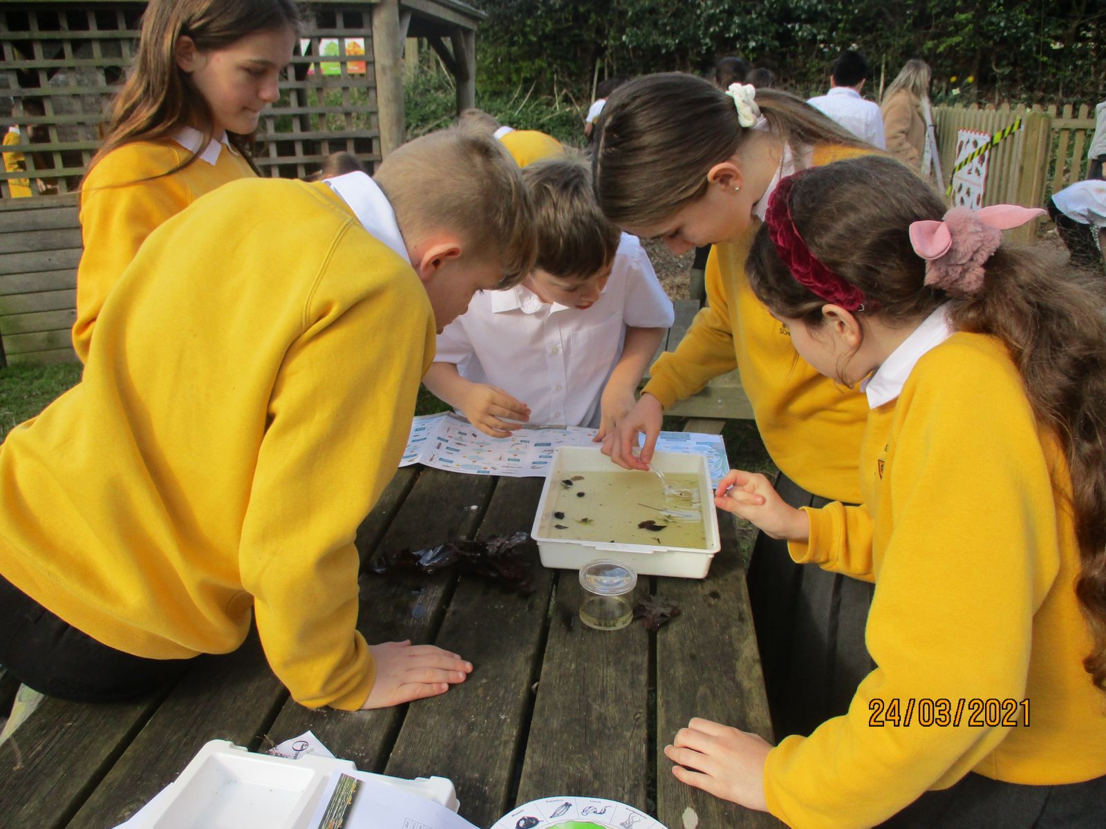 Home - Ash, Cartwright & Kelsey Church of England (Aided) Primary School